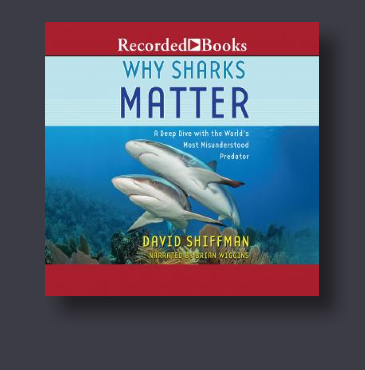 Why Sharks Matter: A Deep Dive with the World's Most Misunderstood Predator