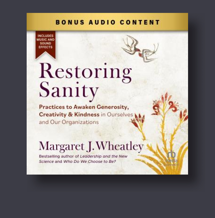 Restoring Sanity: Practices to Awaken Generosity, Creativity, and ...
